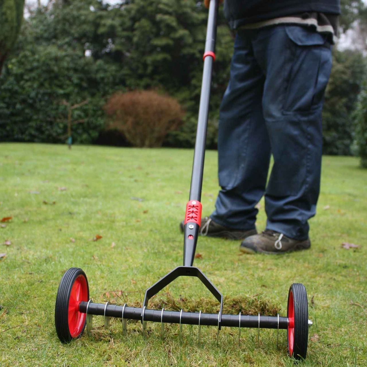 How to scarify a lawn: simple steps to give your grass a boost ...