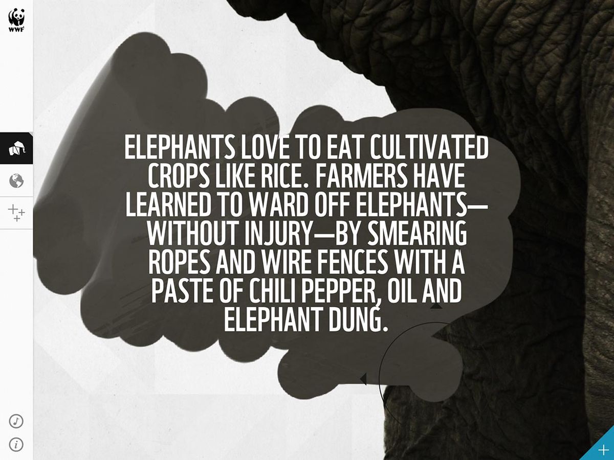 WWF Together for iPad review | iMore