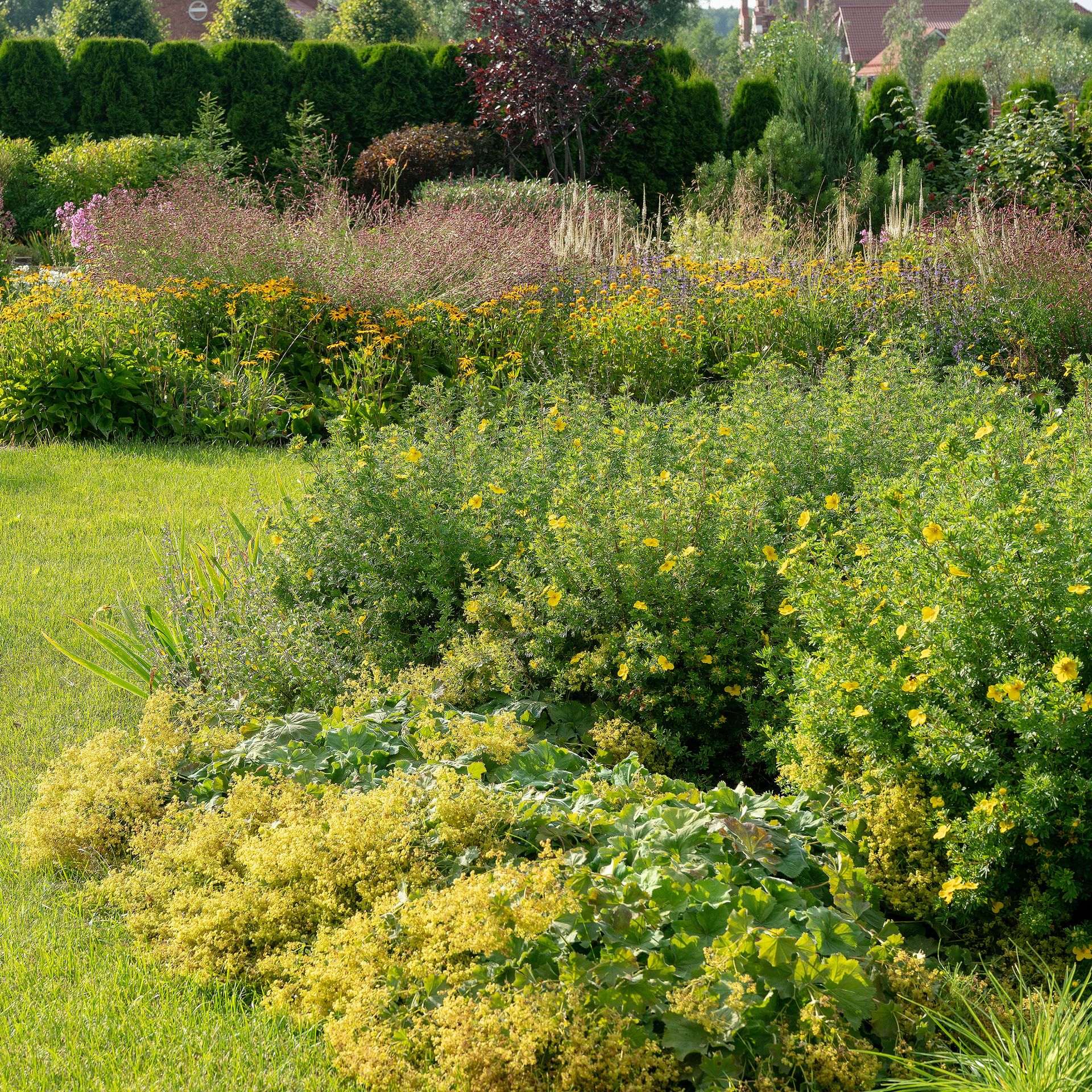 Tips & Information about Shrubs | Gardening Know How
