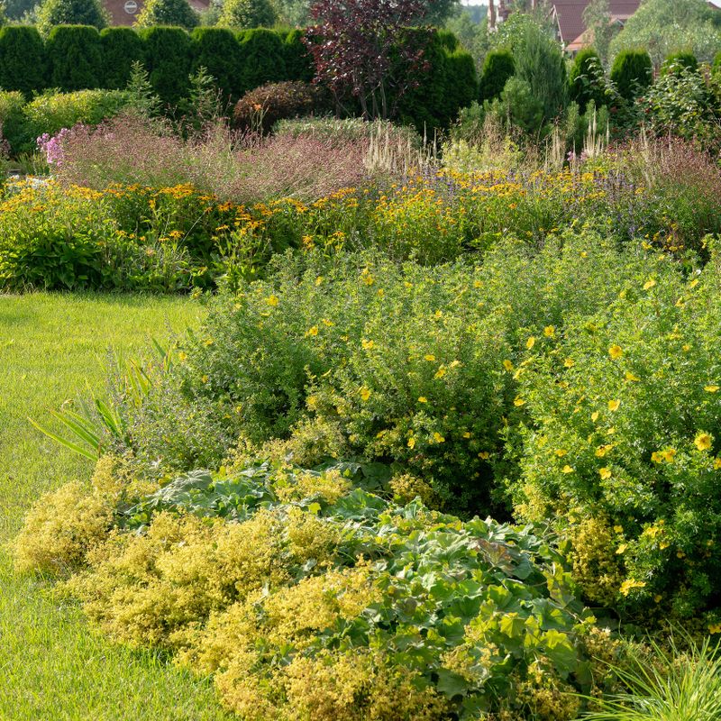Tips & Information about Shrubs | Gardening Know How