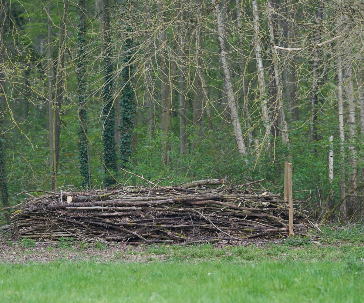How to build a dead hedge: A step-by-step guide | Homebuilding