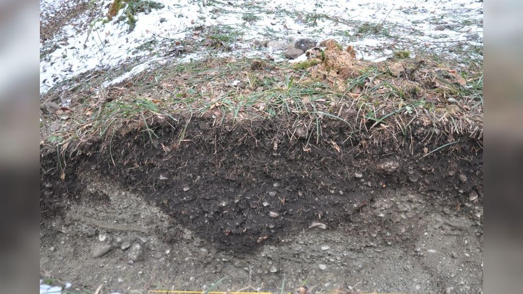 1,700-year-old Roman watchtower ruins discovered in Switzerland | Live ...