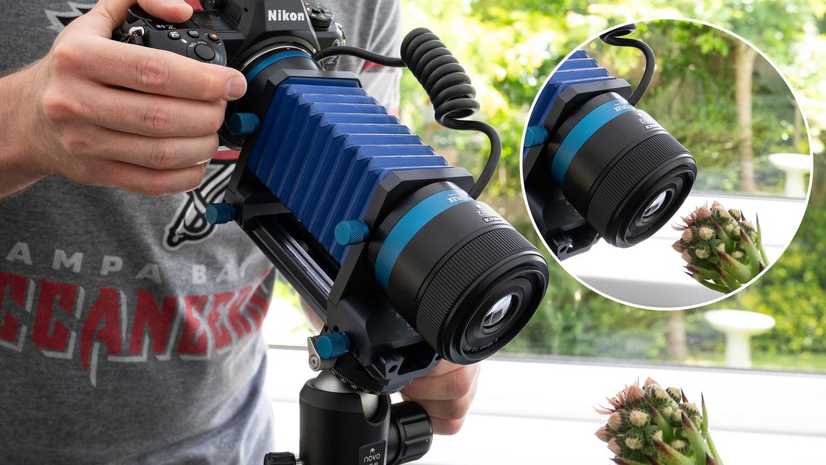 I used macro bellows on my camera for the first time to photograph an ...