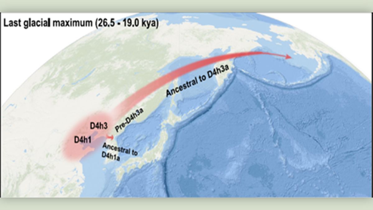 Some of the 1st ice age humans who ventured in Americas came from China ...