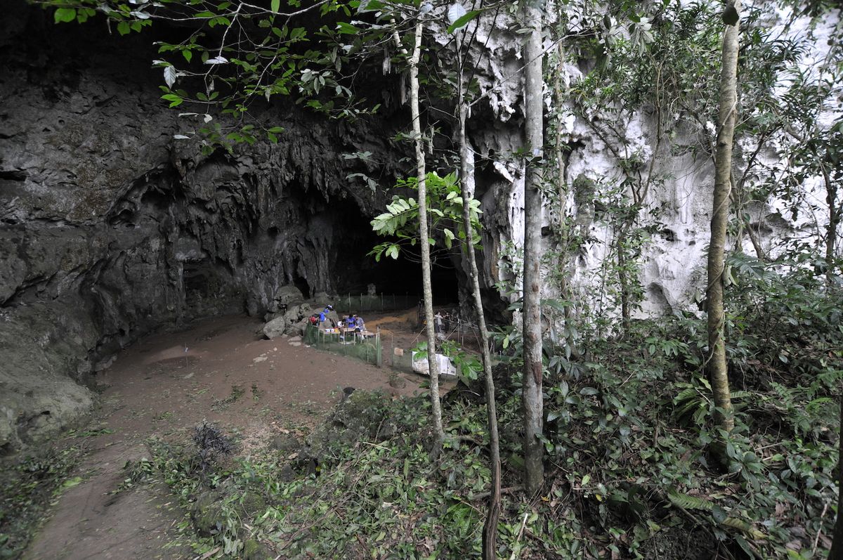 Photos: Newfound Ancient Human Relative Discovered in Philippines ...