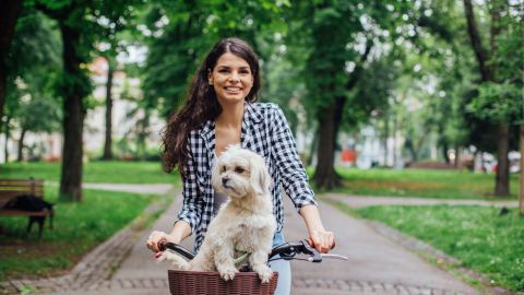 32 hobbies you can do with your dog | PetsRadar