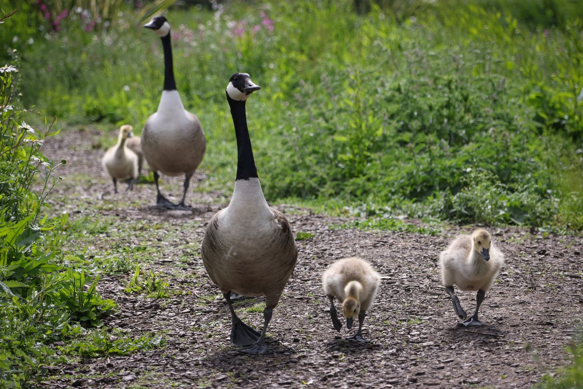 Canon EOS R7 sample gallery: real-world photos with Canon's new camera ...