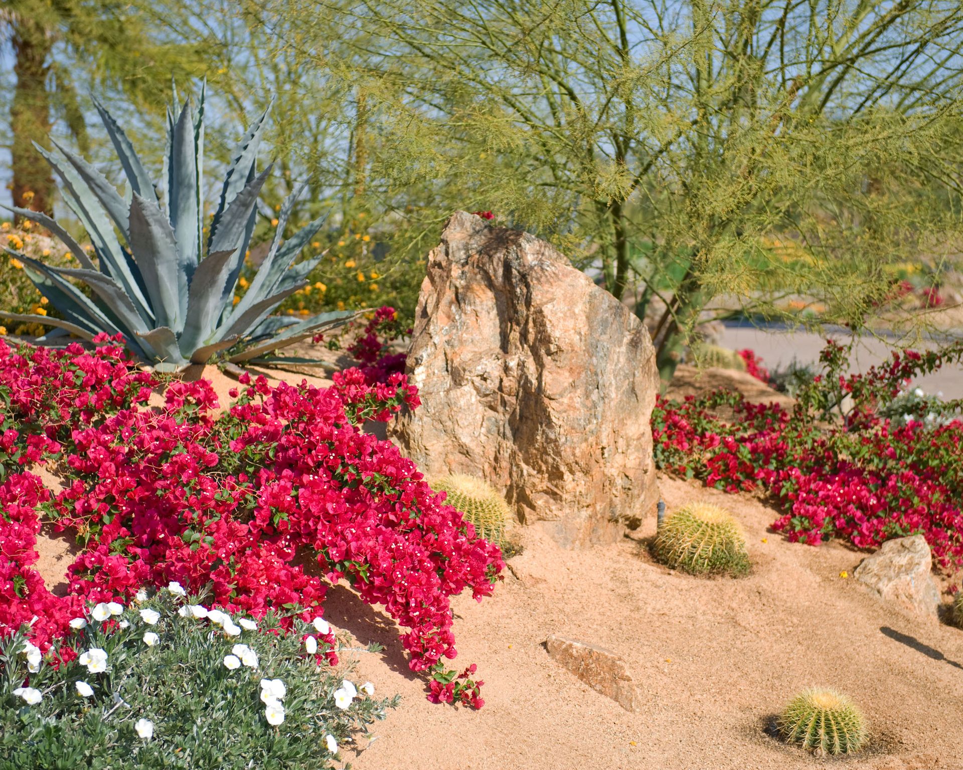 Landscaping with sand: 10 ways to add a coastal vibe | Gardeningetc