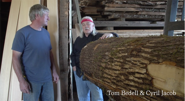 Bedell Guitars: Sourcing Salvage Maple with Tom Bedell & Cyril Jacob ...