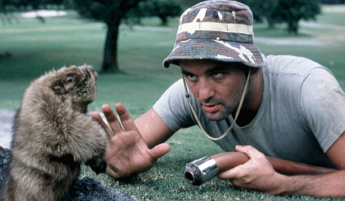 Was The Gopher From Caddyshack All In The Groundskeeper's Head ...