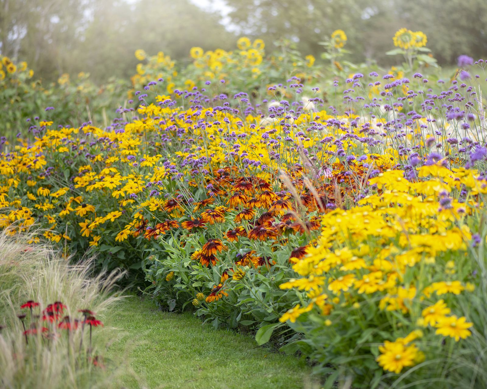 Basic Gardening Terms Every Beginner Should Know | Gardening Know How