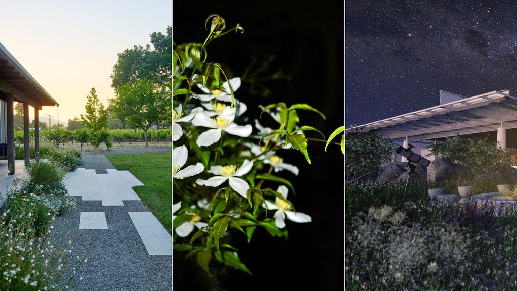 How to create a moon garden with expert plant suggestions | Homes and ...