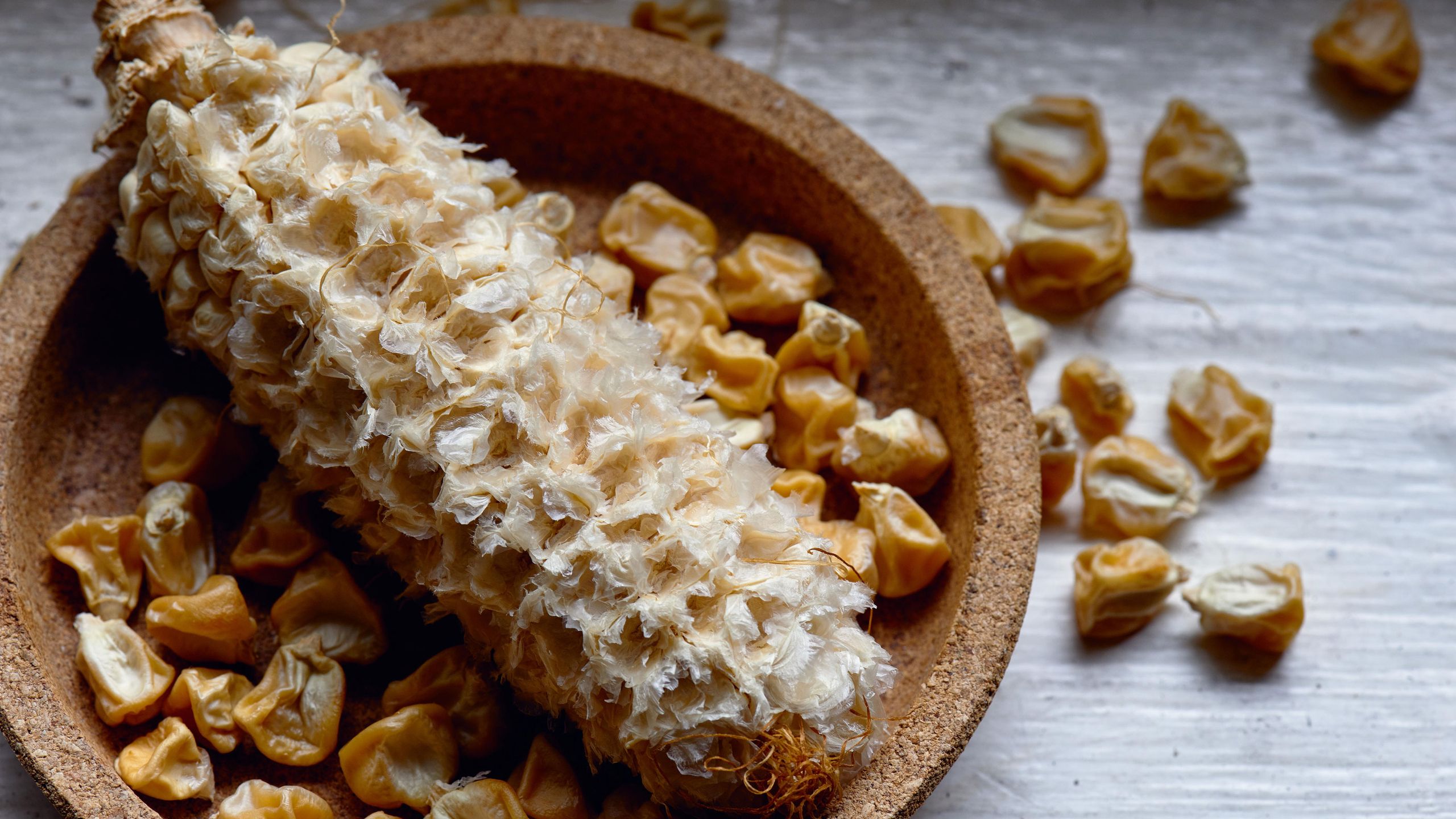 How to grow sweet corn – a guide to planting corn on the cob | GardeningEtc