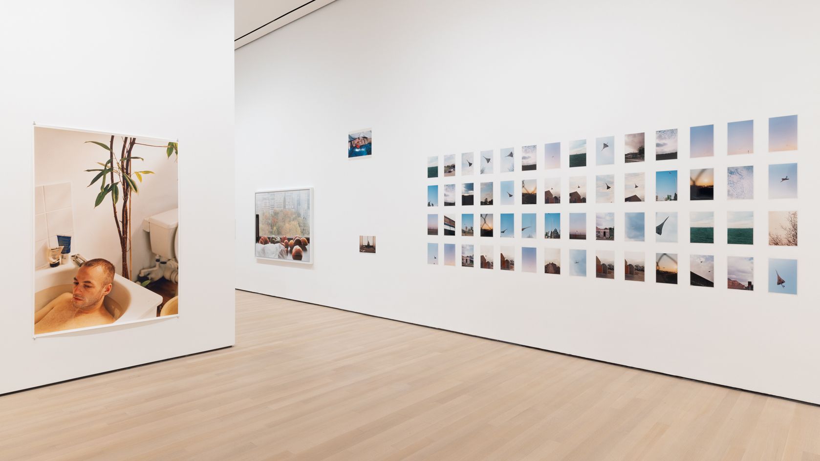 Wolfgang Tillmans at MoMA: 35 years of shaping photography | Wallpaper