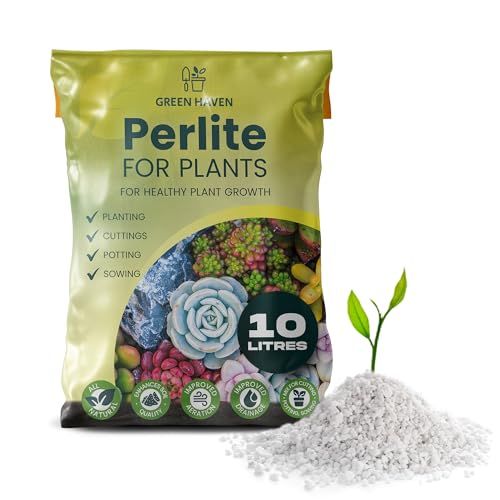 What is perlite? The benefits and when to use it | Ideal Home