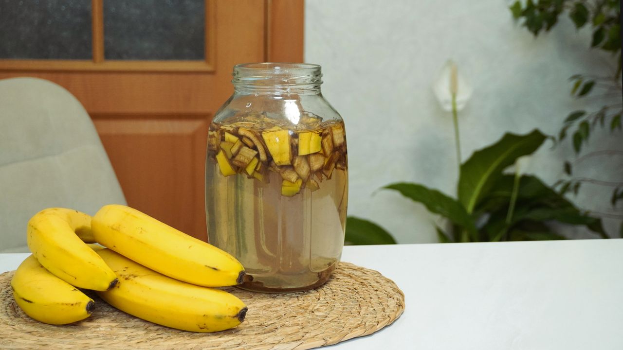 Should You Use Banana Peel Water for Plants? | Gardening Know How