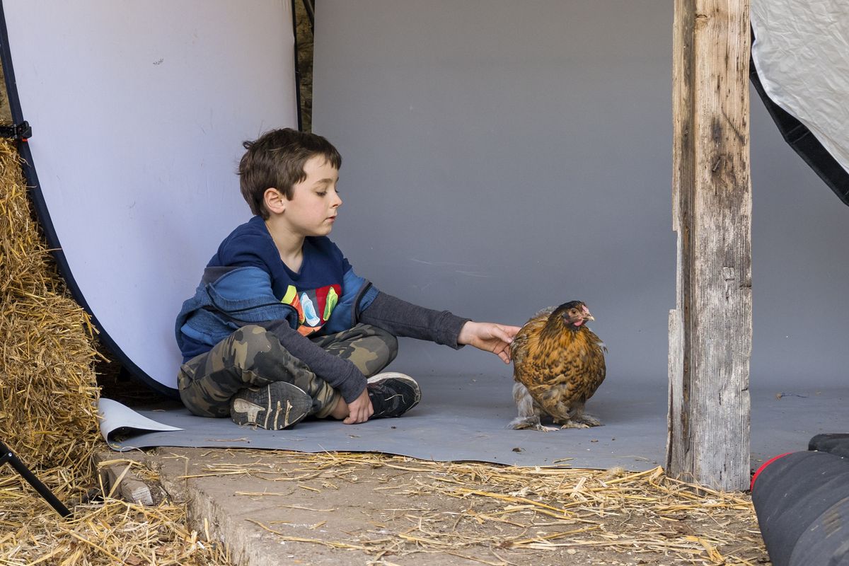 Bird-hemian rhapsody! Try a mobile studio for creative animal location ...