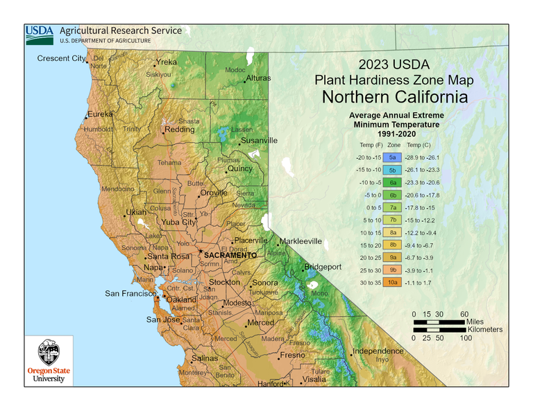 USDA Map Of Planting Zones For California | Gardening Know How