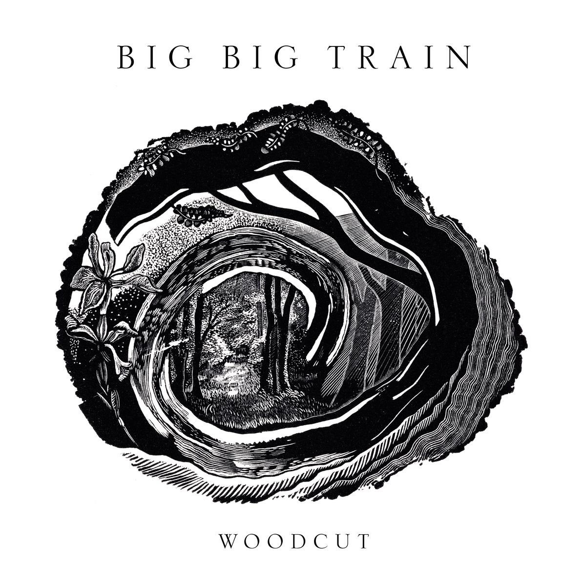 Get an exclusive coloured vinyl version of the new Big Big Train album ...