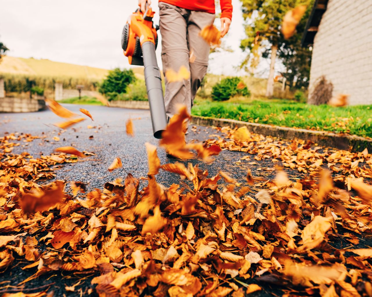 How Early Can You Use a Leaf Blower? Etiquette Tips for Fall ...