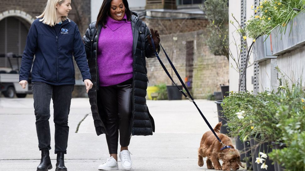 For the Love of Dogs with Alison Hammond: how to watch | What to Watch