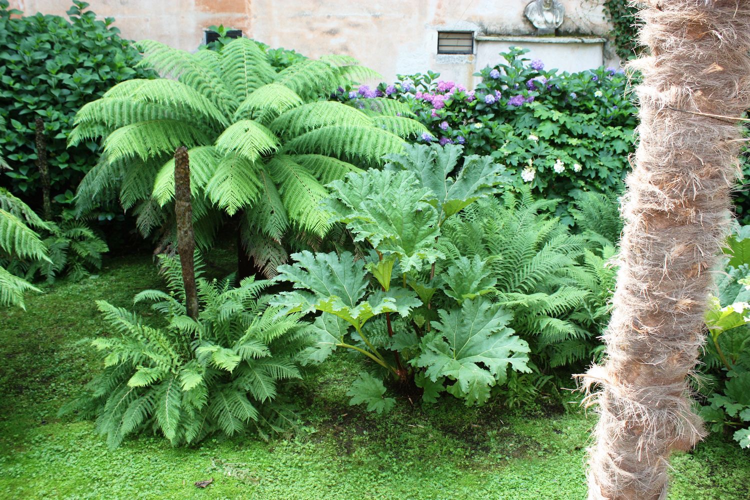 3 best plants to grow under palm trees for a lush backyard | Livingetc