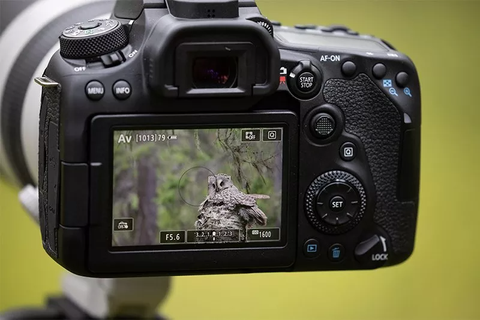 Best wildlife photography camera 2022 | TechRadar
