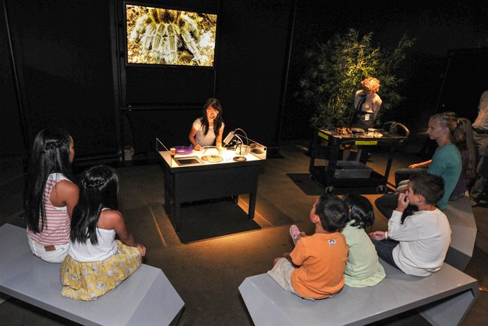 In Photos: The Amazing Arachnids of the World | Live Science