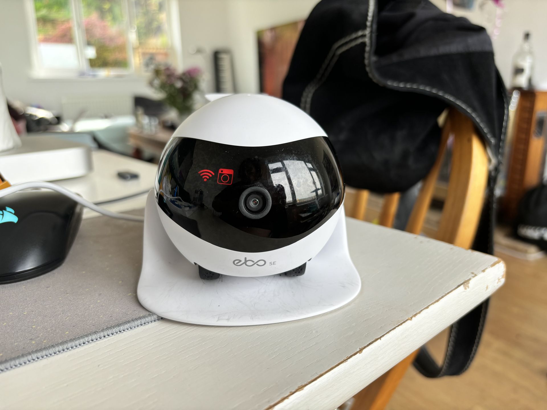 Enabot Ebo SE pet robot review: the catsitter I didn’t know I needed but can’t live without ...