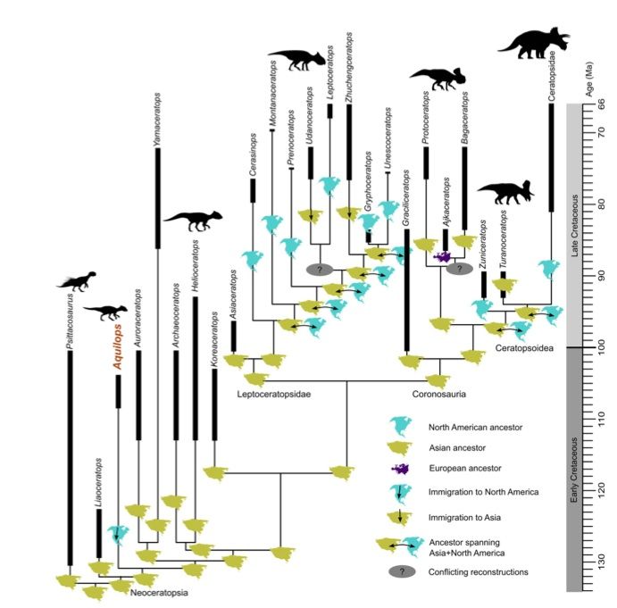 Photos: Oldest Known Horned Dinosaur in North America | Live Science