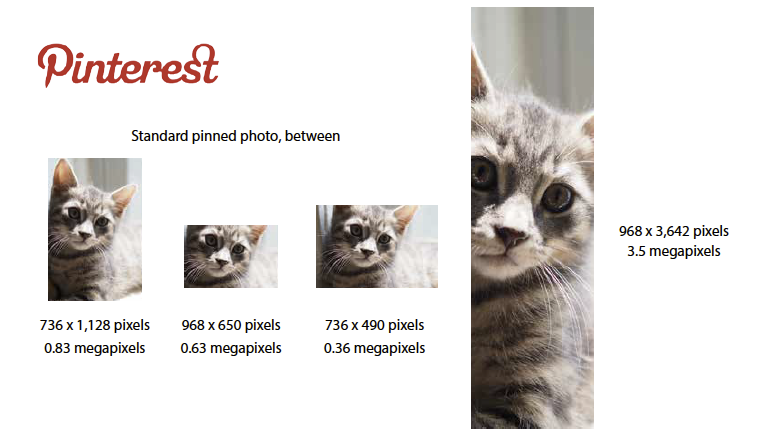 How Many Megapixels Do You Really Need? - Tom's Guide | Tom's Guide