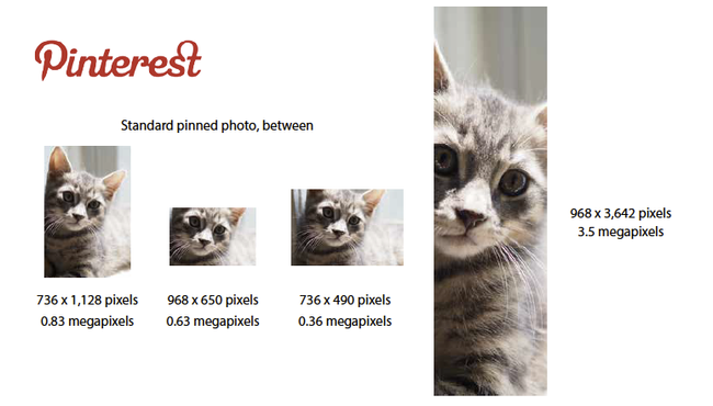 How Many Megapixels Do You Really Need? - Tom's Guide | Tom's Guide