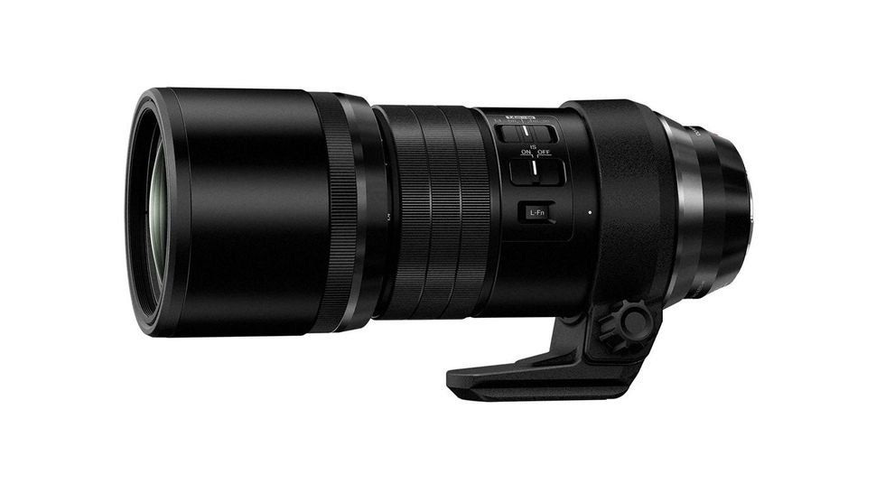 The best lenses for bird photography in 2022 | Digital Camera World
