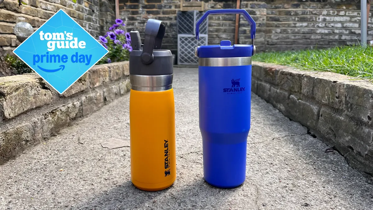 Last chance! TikTok’s favorite Stanley cup water bottle is 27% off for ...