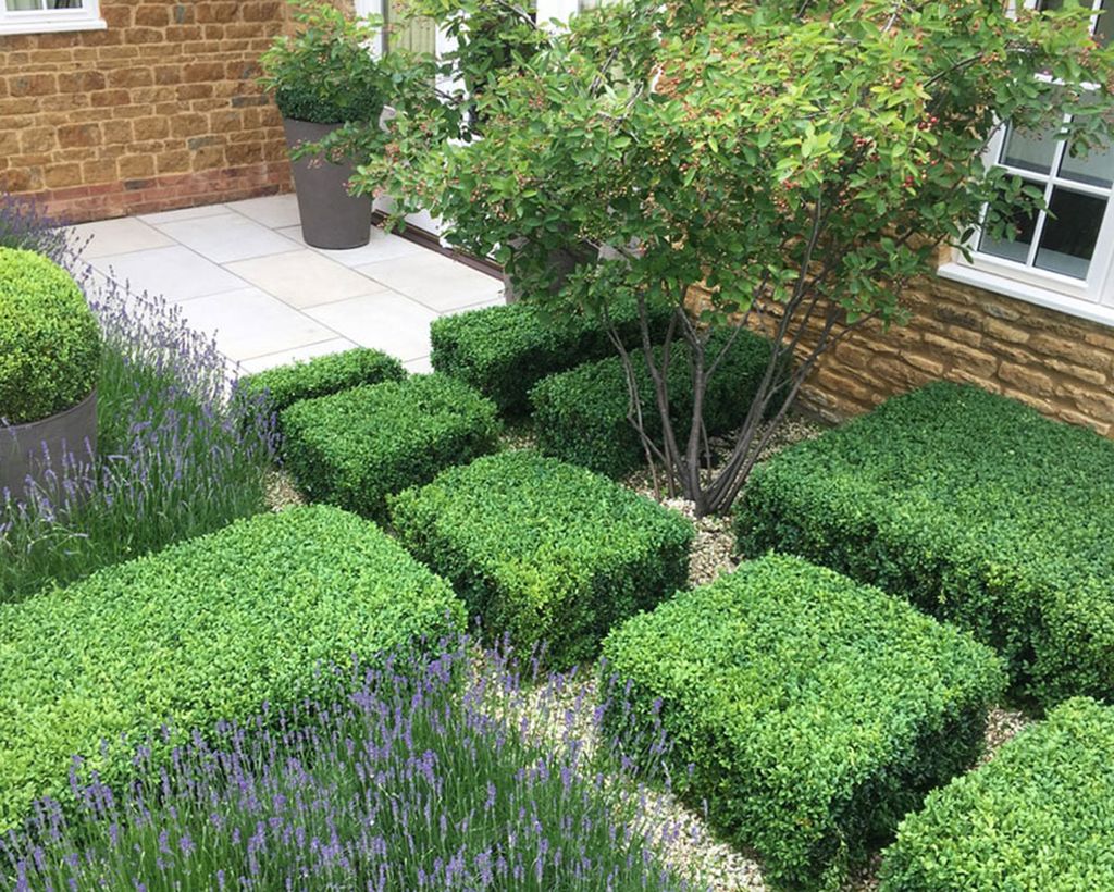 Landscaping with evergreens: 12 ways to make an impact | Gardeningetc