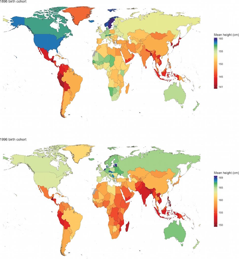 Where Do the World’s Tallest and Shortest People Live? | Live Science