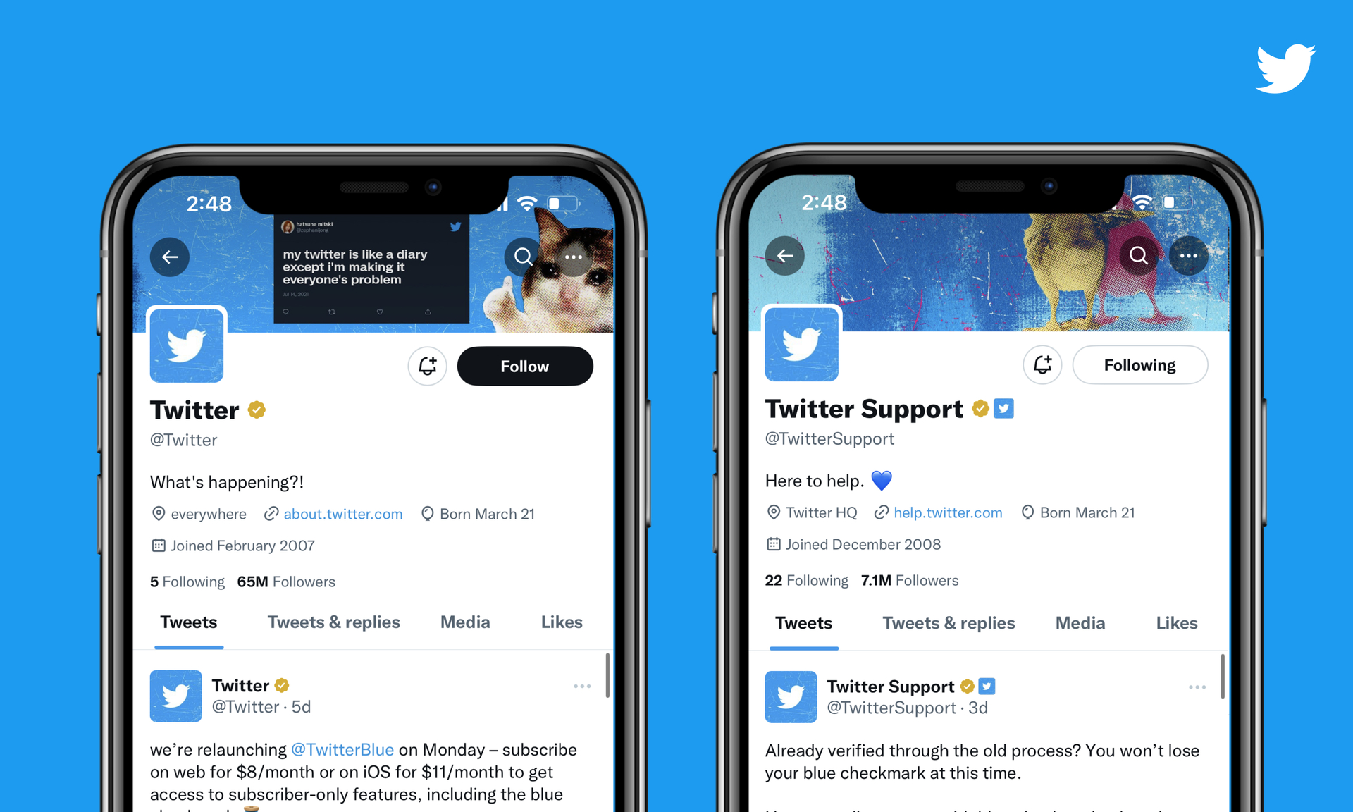 Twitter Blue For Business Will Let You Show Exactly Who Your Employer