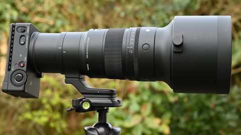 Sigma 500mm F5.6 DG DN OS Sports review: he ain’t heavy, he’s a super ...