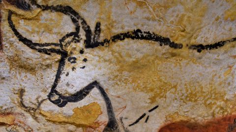 6 extinct species that scientists could bring back to life — and 1 they ...