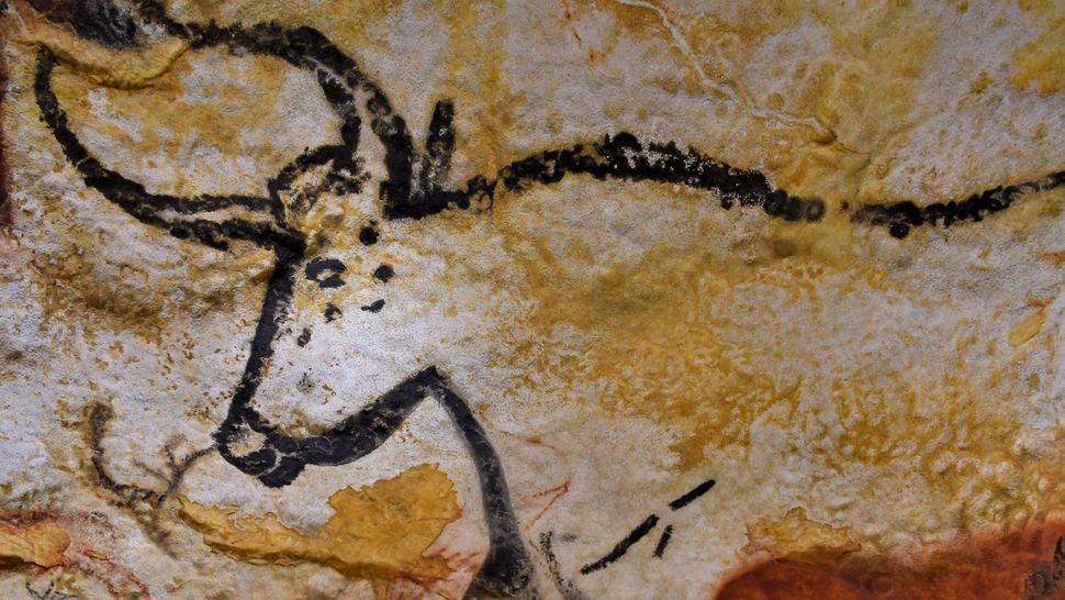 6 extinct species that scientists could bring back to life — and 1 they ...