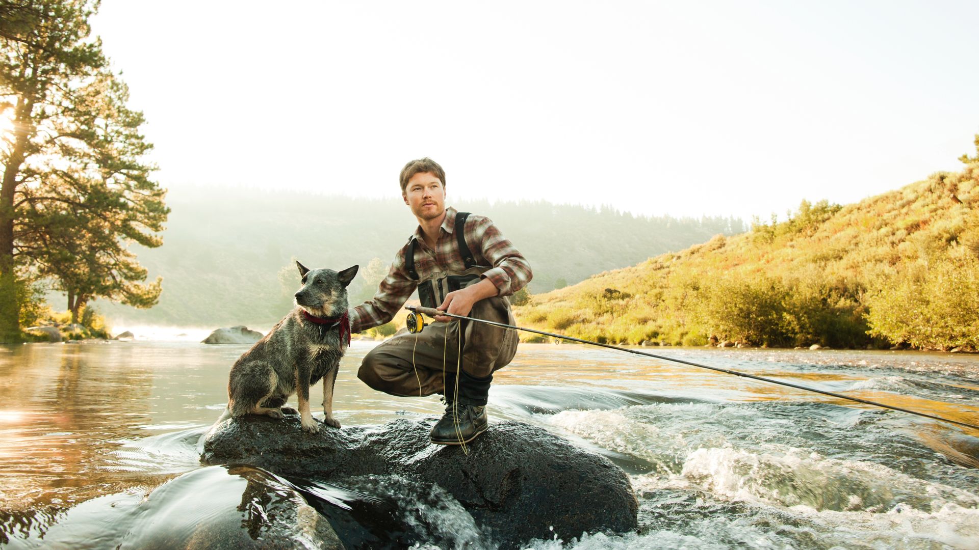 Fishermen in Mississippi save 38 dogs on the verge of drowning in lake ...