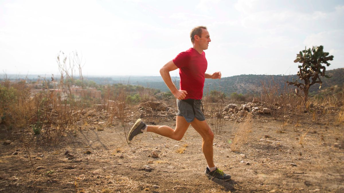 The best running tops: for training and races on all terrains | Advnture