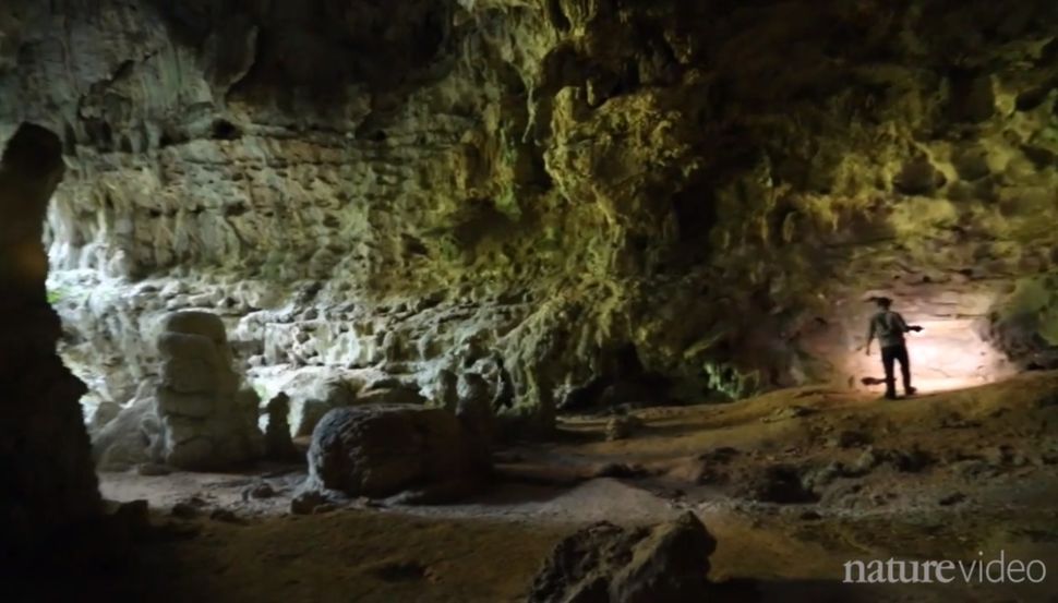 In photos: The world's oldest cave art | Live Science