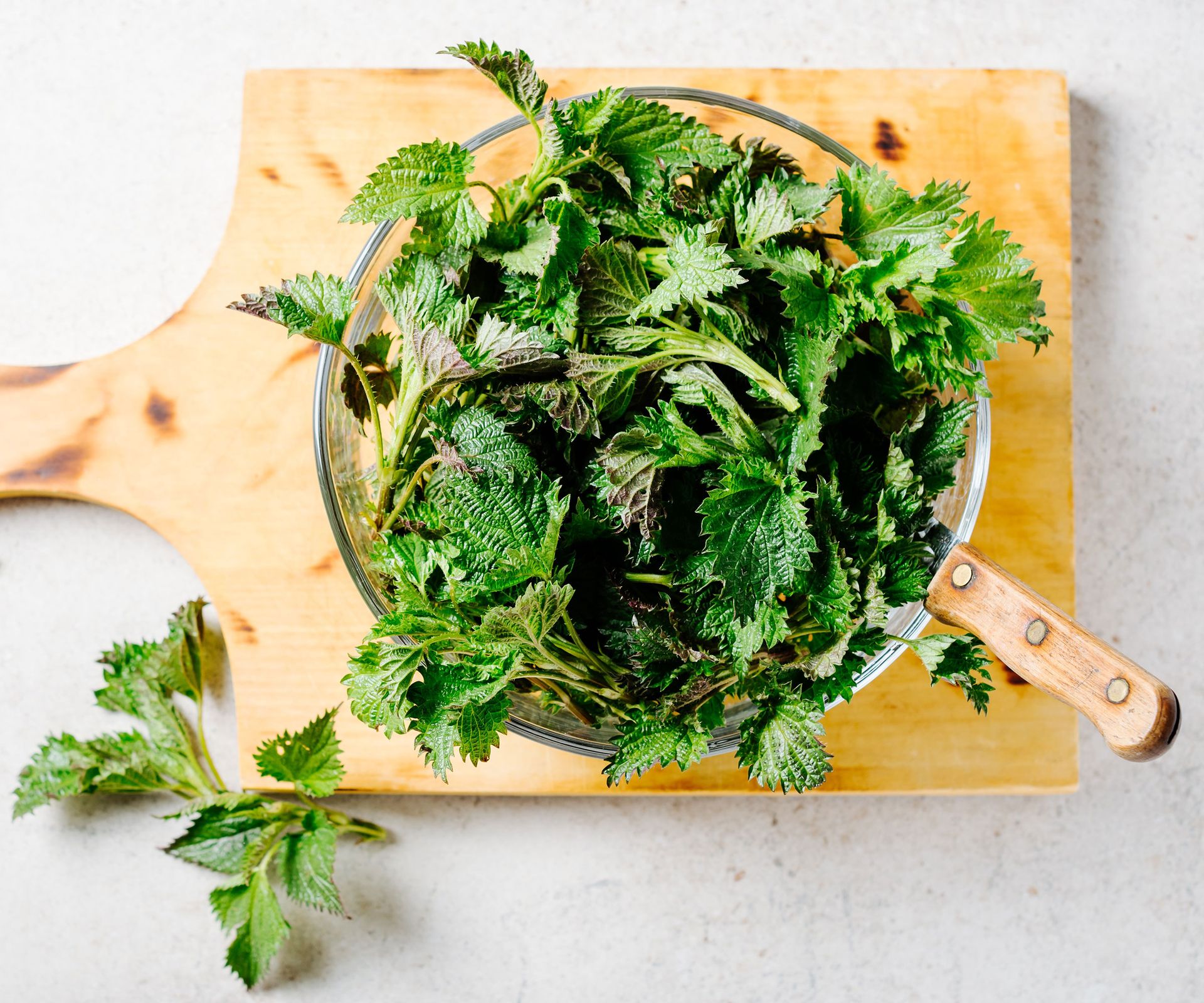 7 Wild Greens To Try For Deliciously Fresh Foraged Salads | Gardening ...
