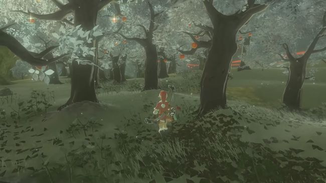 The Best Zelda Breath of the Wild mods for you to try out | GamesRadar+