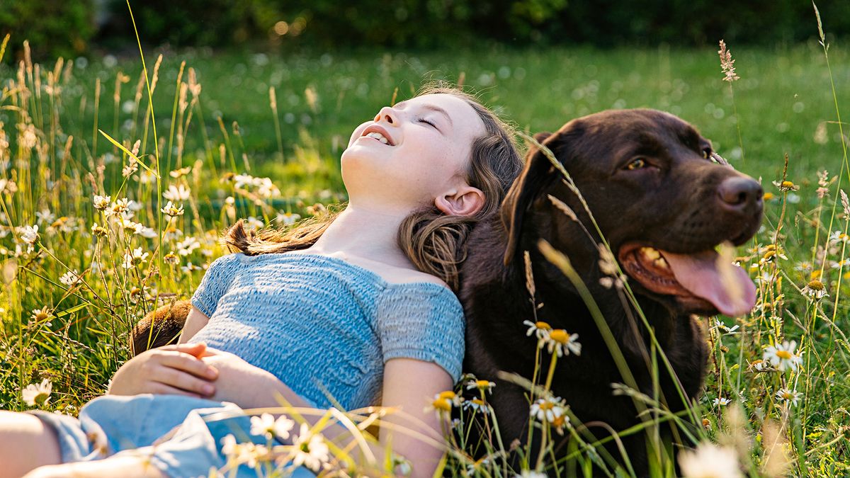 Best pets for autistic people: Children and adults | PetsRadar