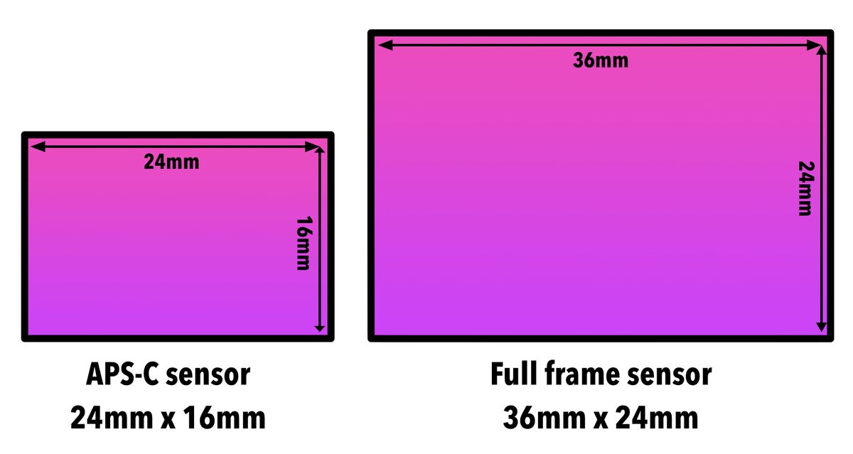 APS-C vs full frame: what you need to know to help you choose the right ...