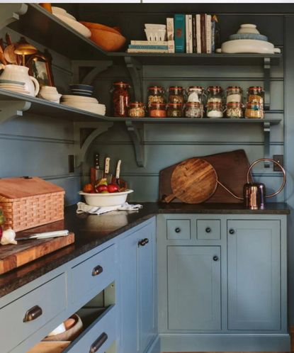 Emily Henderson just shared her favorite blue paint colors – these are ...