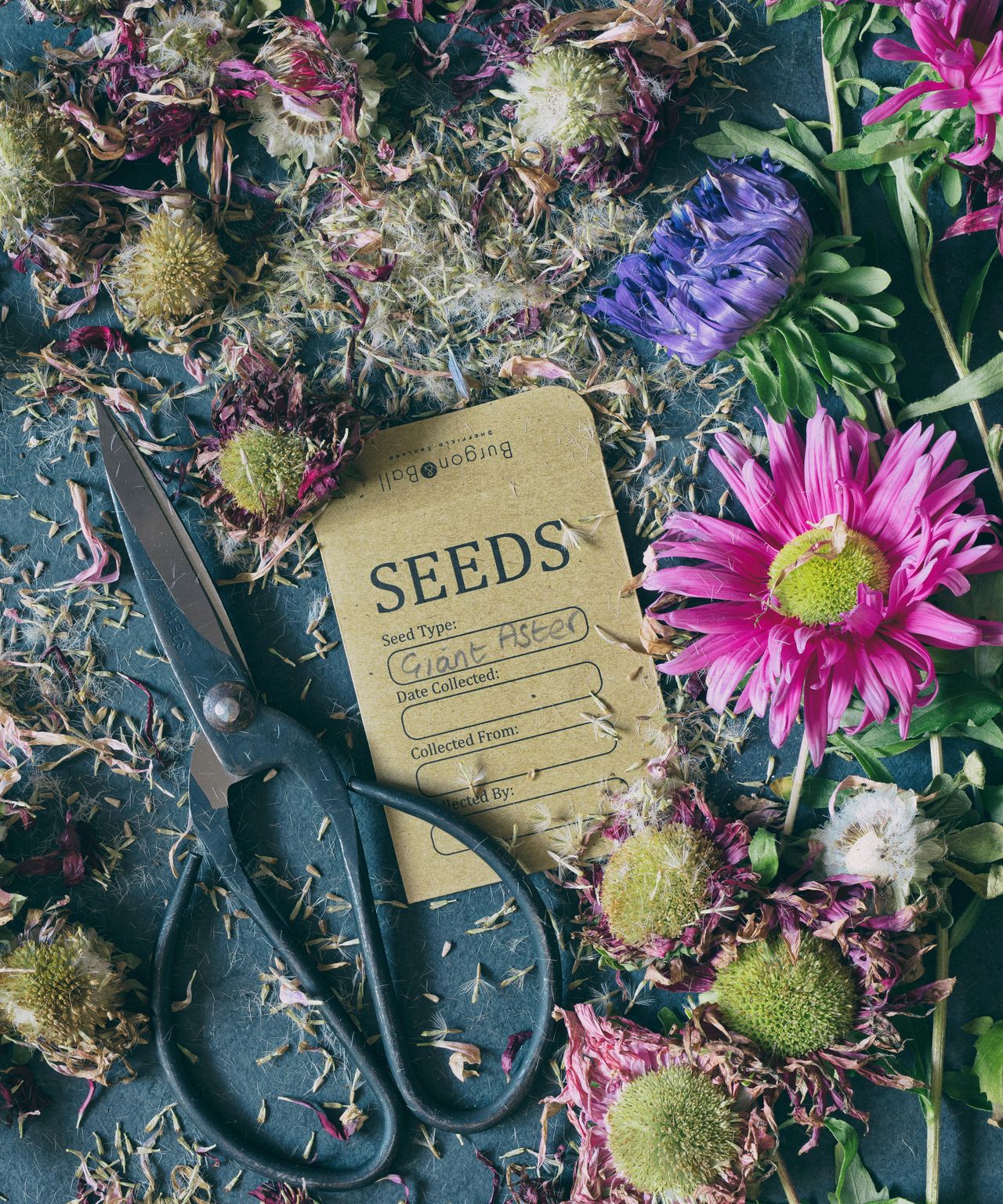 Seed storage mistakes: 7 expert tips for storing seeds | Homes and Gardens