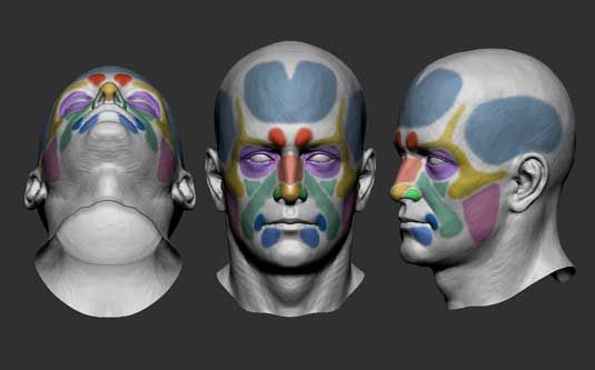 10 anatomy tips for 3D artists | Creative Bloq